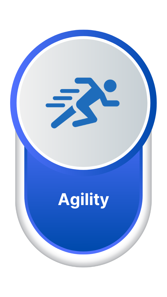 GMIndia values - GMIndia