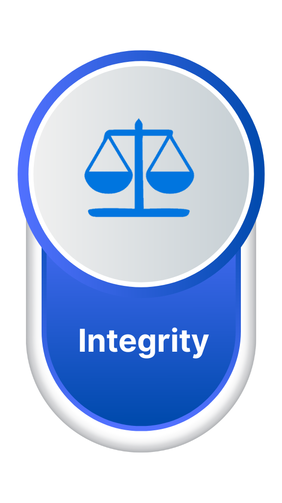 GMIndia values - GMIndia